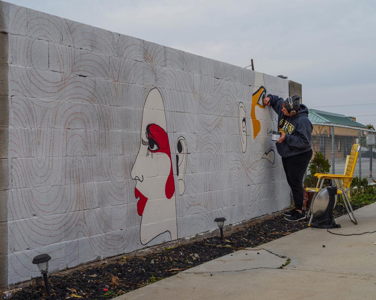 PHOTO GALLERY: Mural at The Apricot Door | Multimedia | bakersfield.com