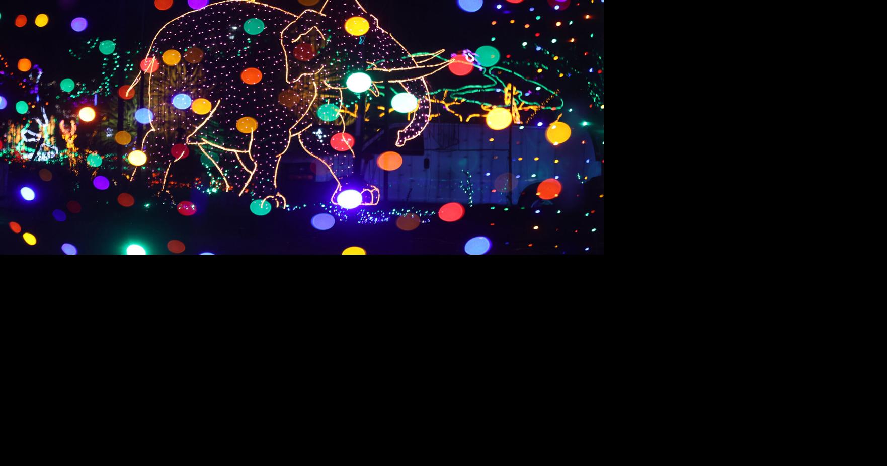 Tickets on sale for HolidayLights at CALM | Entertainment | bakersfield.com