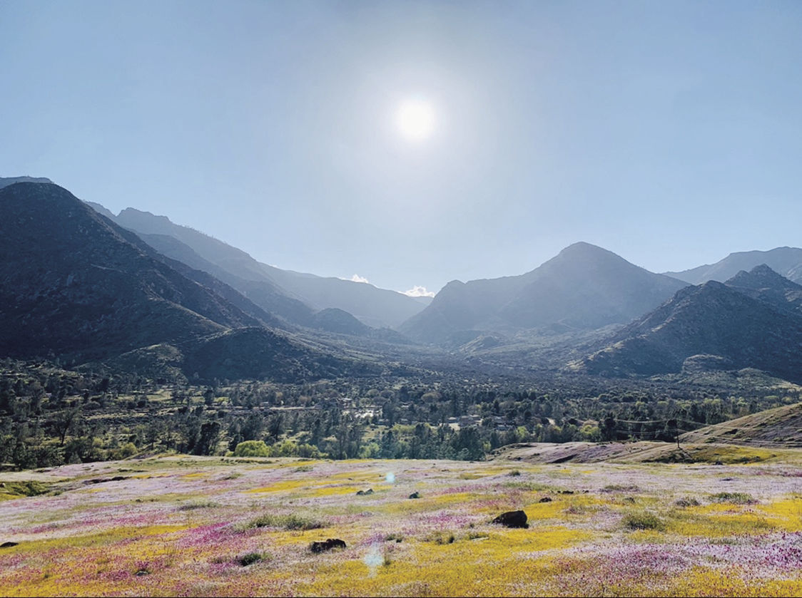 Kern County Wonders: Sights worth seeing | Bakersfield Life ...