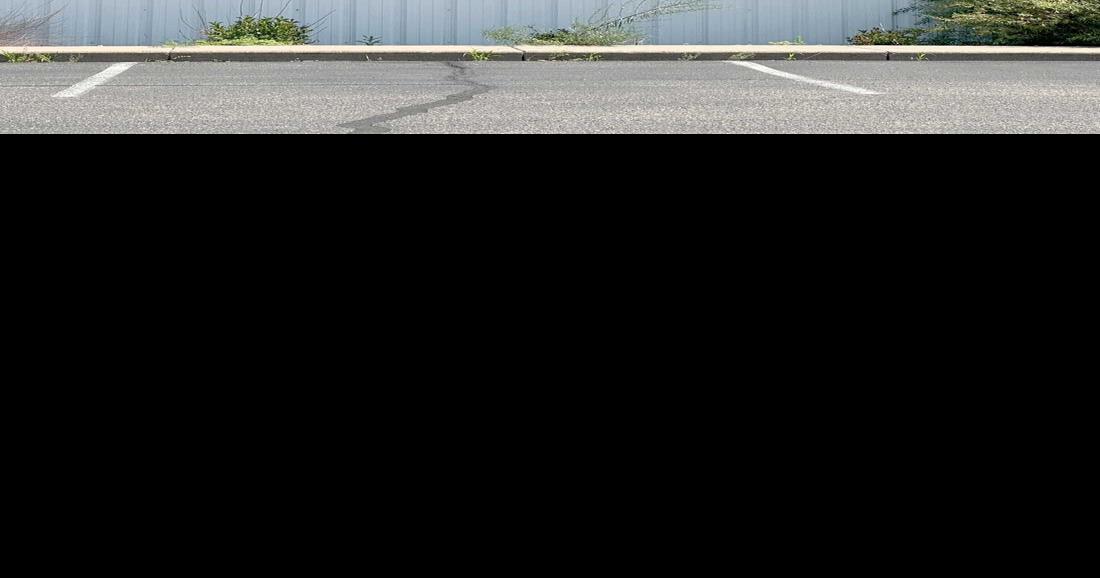 Wolverine Capital Partners new owners of Vital Plastics, Inc. | News | baldwin-bulletin.com