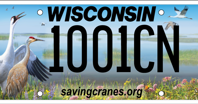 DMV releases International Crane Foundation license plates | News ...