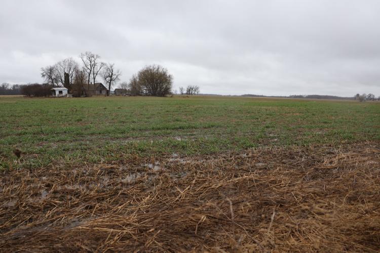 Threat to sue town in Polk County over large farm regulations revives ...