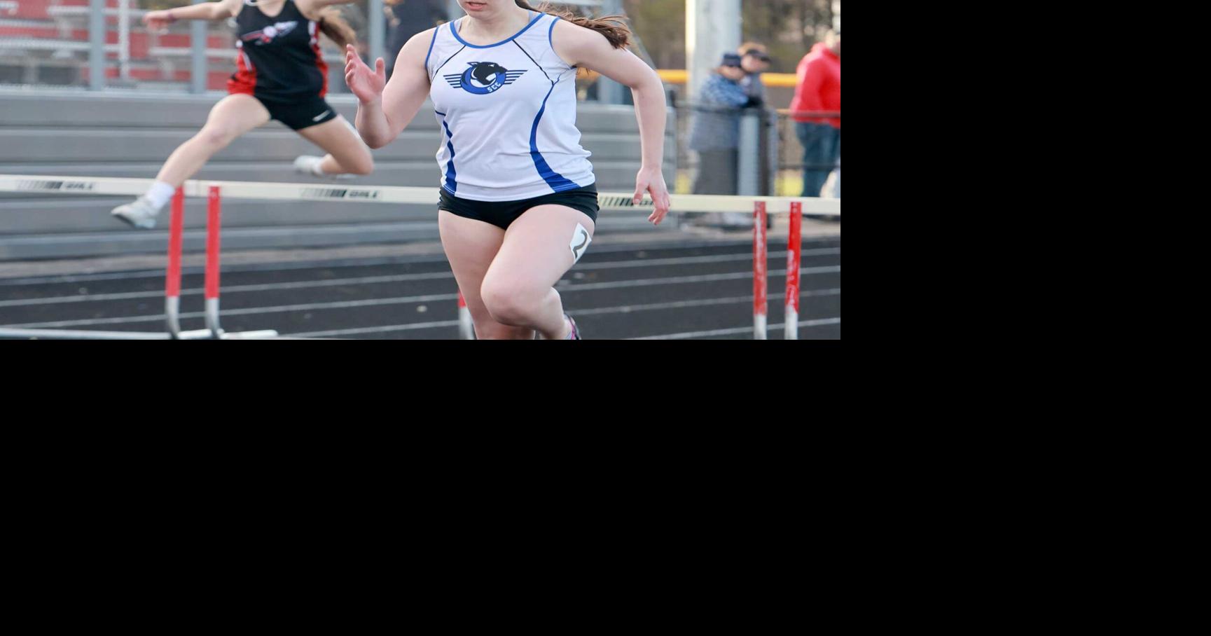 Hawkins places second in the long jump, pole vault at regional | Sports ...