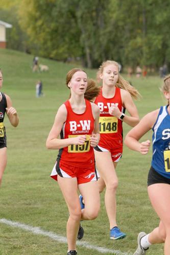 Findlay has another strong outing for B-W cross country | Sports ...