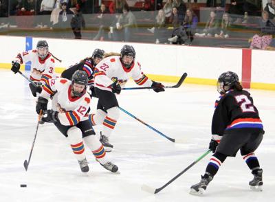 Fusion hockey suffer two losses to end regular season | Sports ...