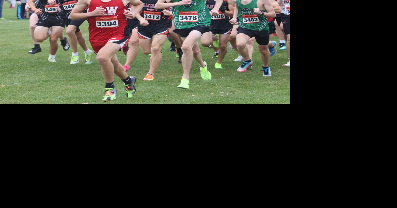 Findlay 17th; Wilde 29th at state cross country meet | Sports | baldwin ...