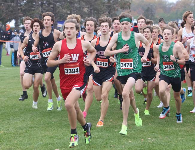 Findlay 17th; Wilde 29th at state cross country meet | Sports | baldwin ...