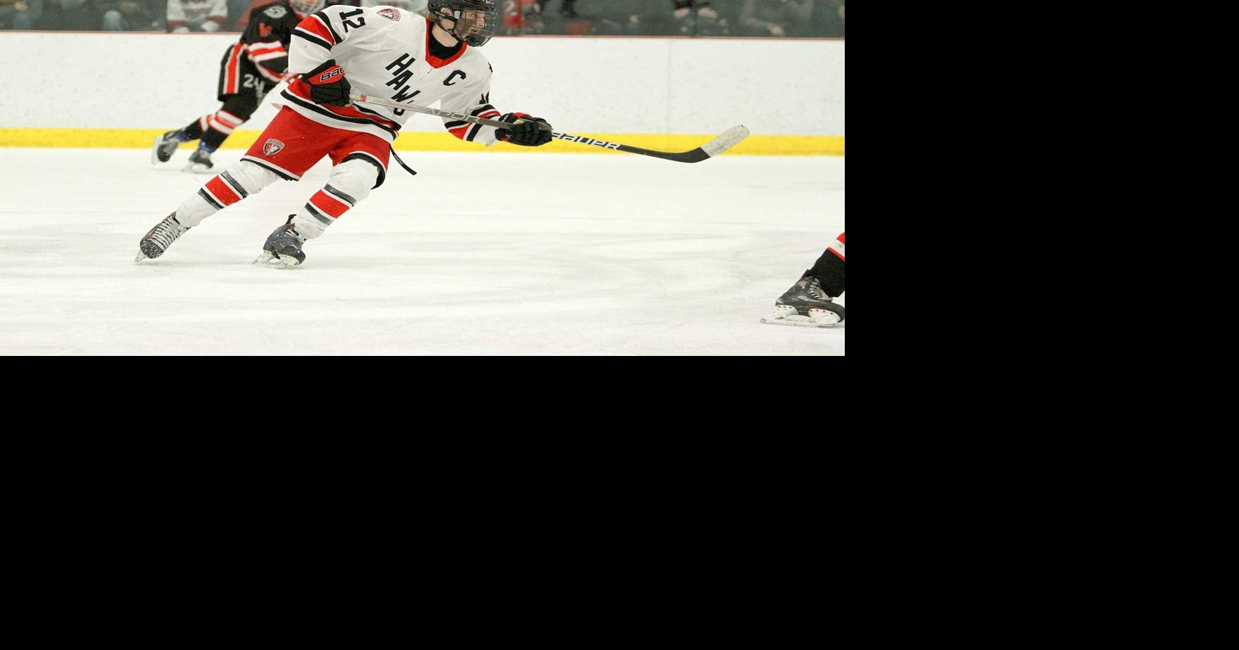 B-W boys hockey on its way to state for the first time ever | Sports ...