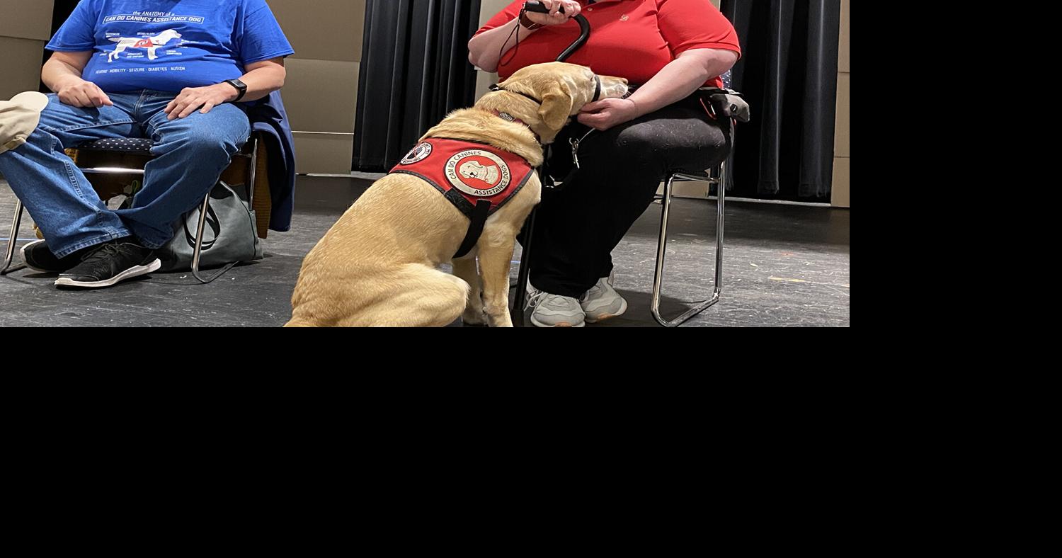 Paws for Service: UW-River Falls students to help train dogs to assist ...