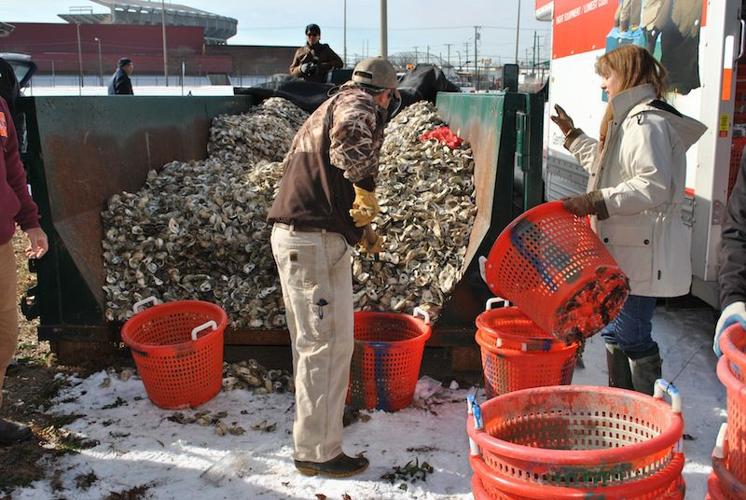Moving 12,000 pounds of oyster shells | Blogs | bayjournal.com