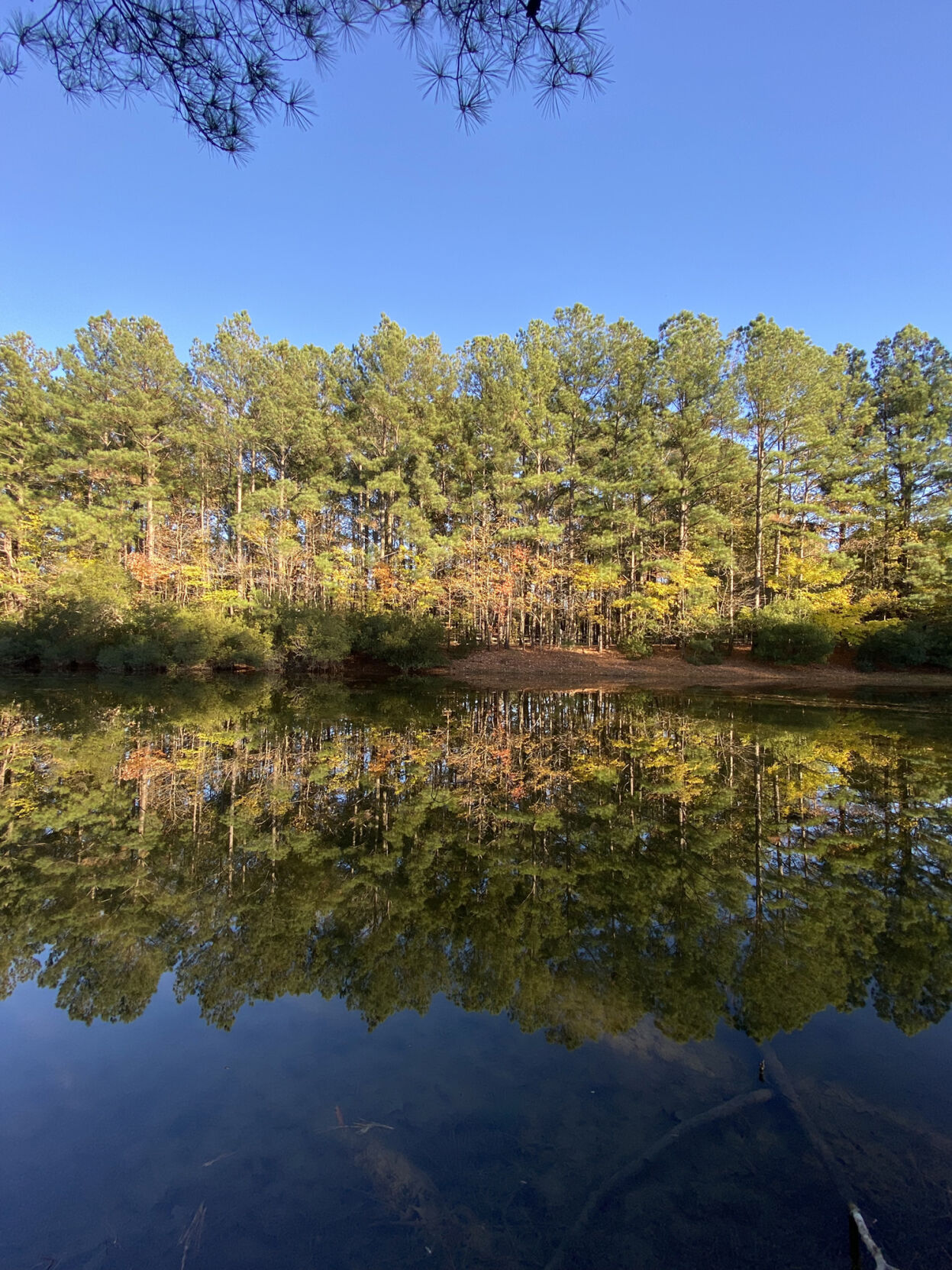 For an escape from suburbia, Sandy Bottom Nature Park is tops | Travel ...