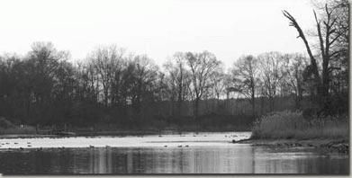 Wye Island Natural Resources Management Area a hidden haven for ...