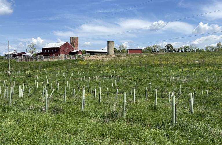 In Maryland, history helps shield large rural tracts from development ...