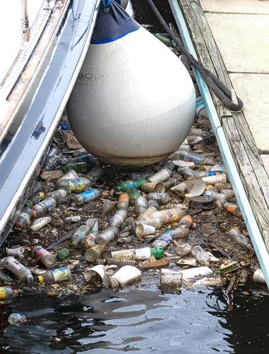 Swimming and fishing safely in the Baltimore Harbor? Not so fast ...