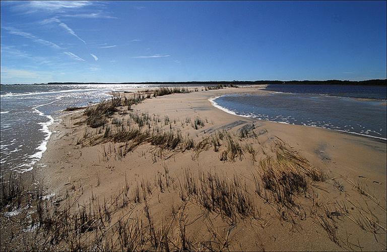 Preserve walks celebrate VA Natural Heritage Program's 30th year ...