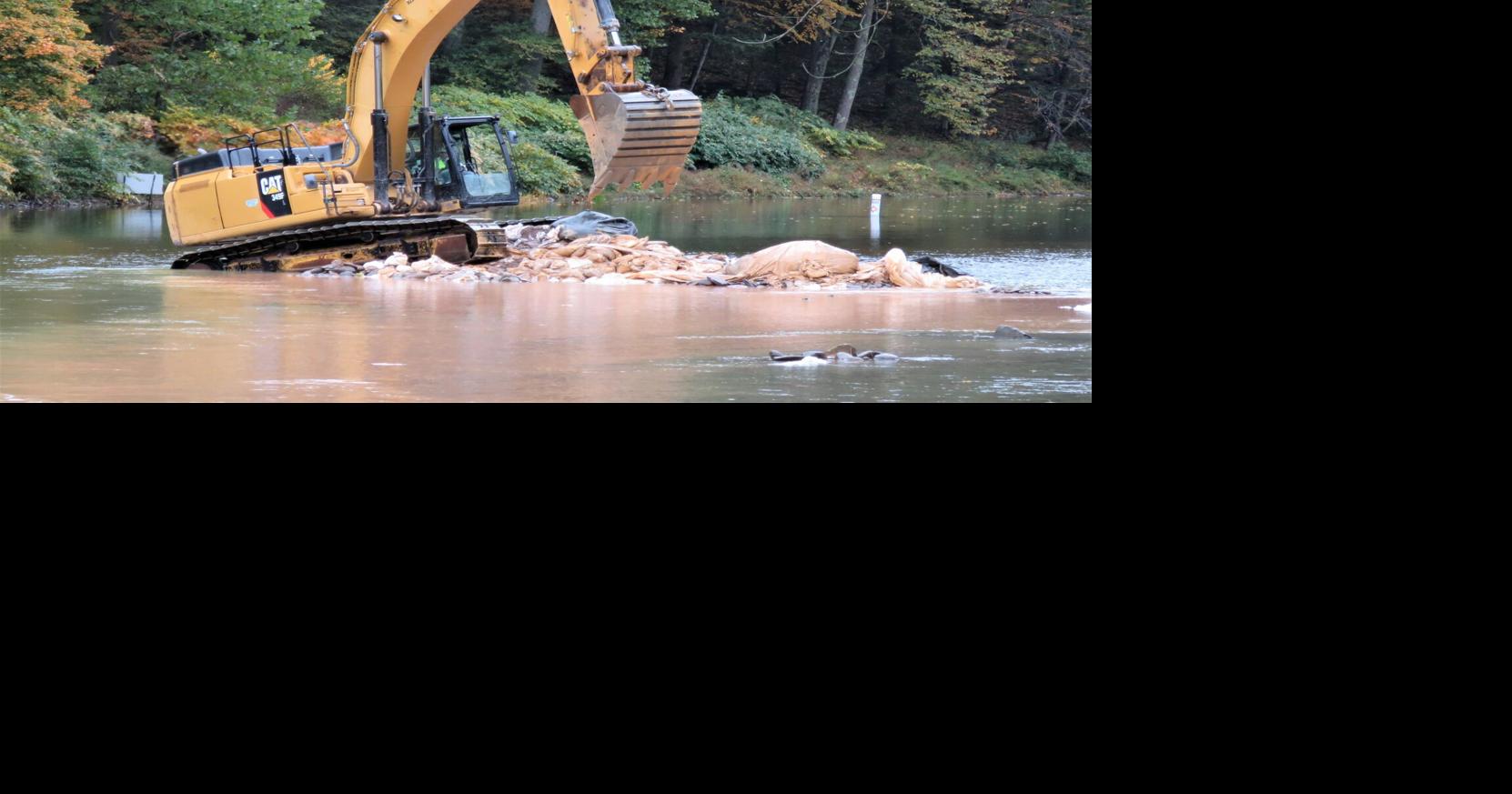 Hellbender habitat slammed by pollution in Pennsylvania's Loyalsock ...