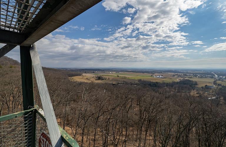 Former fire tower gives students a bird's eye view of local waterways ...