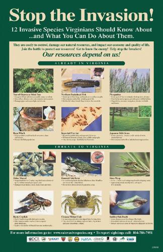 Poster alerts Virginians to invasive species | | bayjournal.com