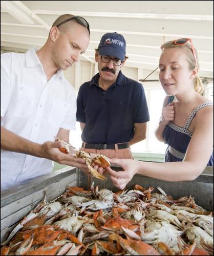 Steve Vilnit leaving as DNR's seafood marketer | Blogs | bayjournal.com