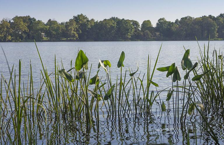 Museums, trails, river lure visitors to Port Royal, VA | Travel ...