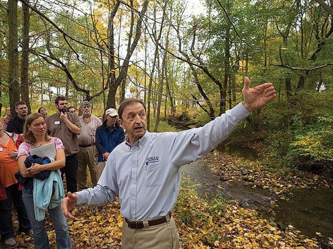 Forest buffer research reveals more benefits than previously thought ...