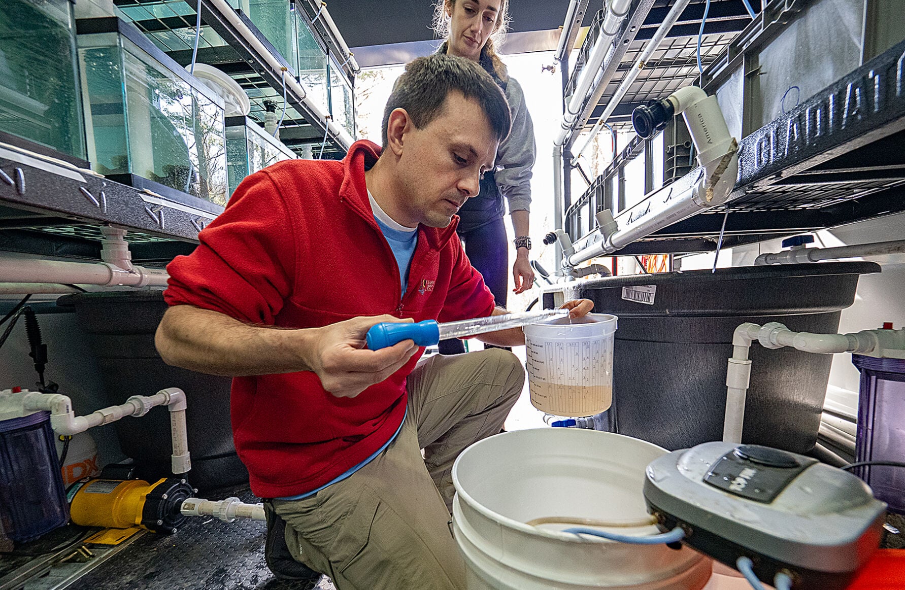 Have mussels, will travel: New mobile lab gives bivalves a lift ...