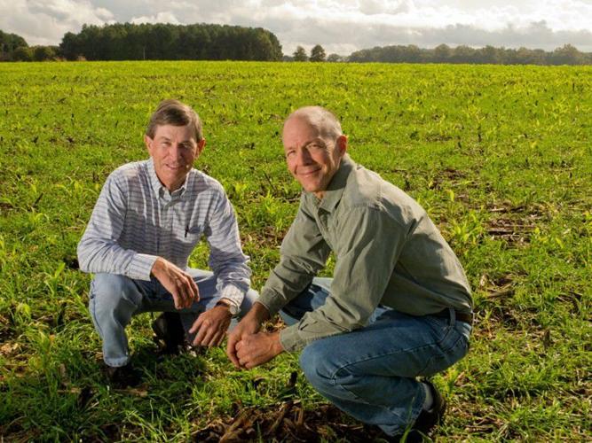 Down-to-Earth farmer / scientists are true stars in tackling nutrients ...