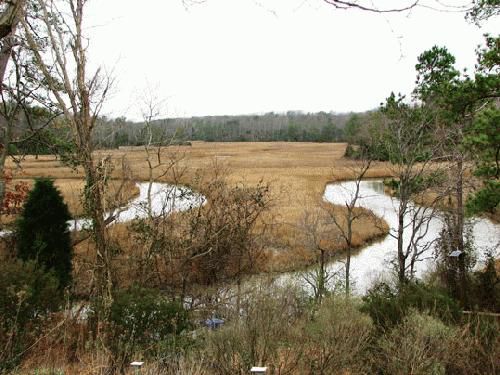 From history to habitats, visitors have much to learn from York River ...