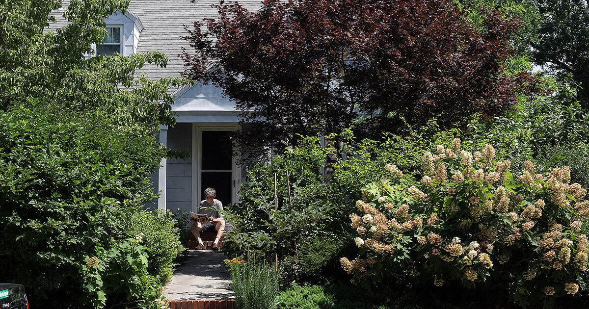 A man and his yard: a crowded eighth-acre explained | Chesapeake Born ...