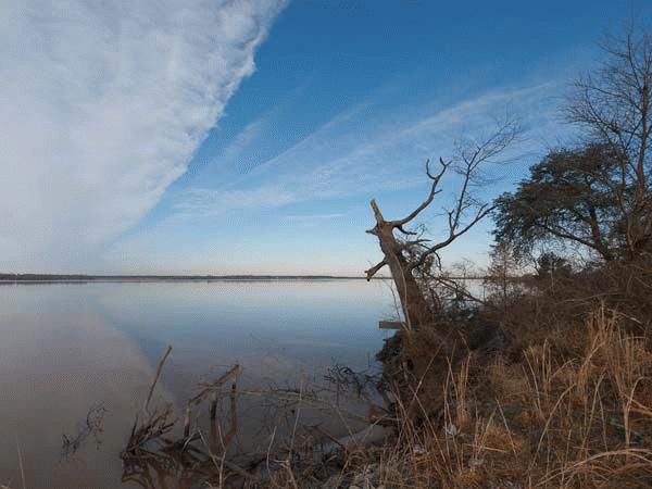 Treasured perspectives spur drive to save landscapes on a large scale ...