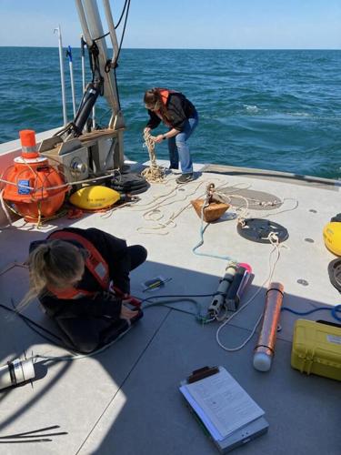 Scientists listen in on dolphins that travel in and out of the ...