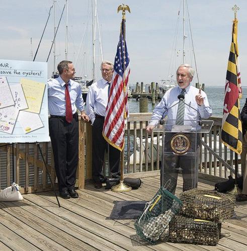 Boesch navigated Bay’s stormier days, helped put cleanup on course ...