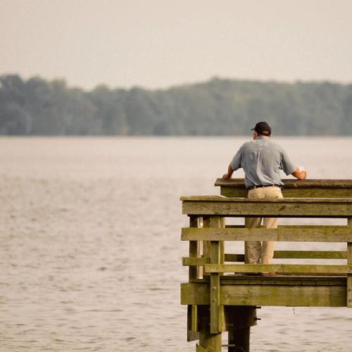Natural, U.S. history of James River more accessible at Lawrence Lewis ...