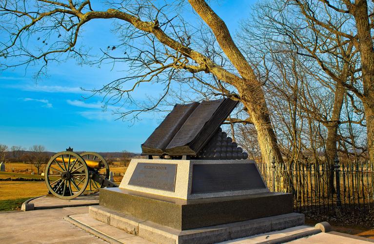 Big trees, important trees: a Chesapeake sampler | Travel | bayjournal.com