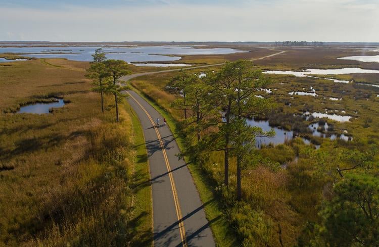 Take a ride on the wild side: Explore Blackwater by bicycle | Travel ...