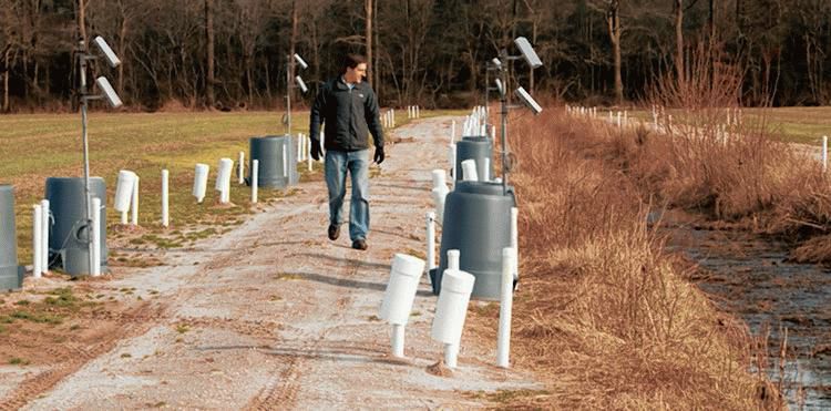 Intimidator, subsurfer latest tools to hammer away at nutrient ...