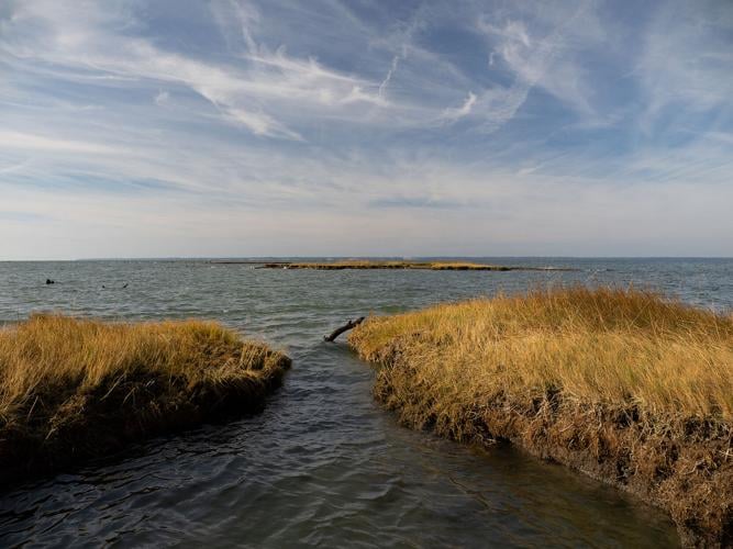 A photographic farewell to James Island | Climate Change | bayjournal.com