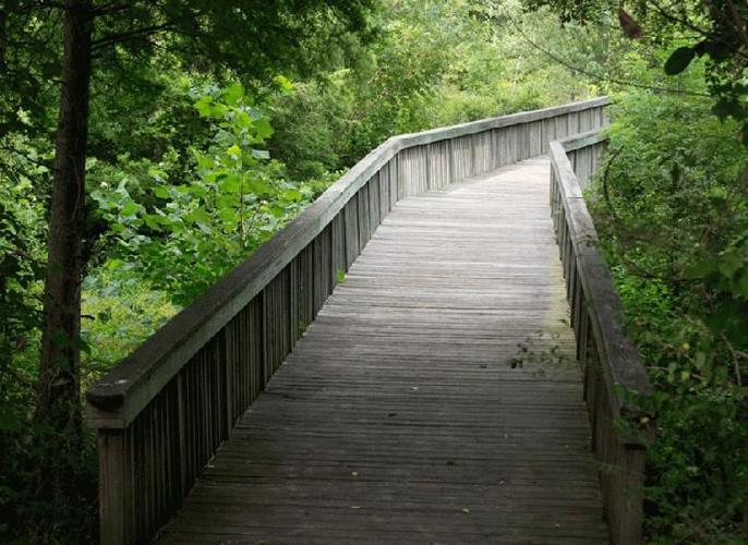 Natural, U.S. history of James River more accessible at Lawrence Lewis ...