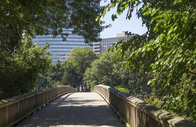Theodore Roosevelt Island, a forested DC memorial hidden in plain sight ...