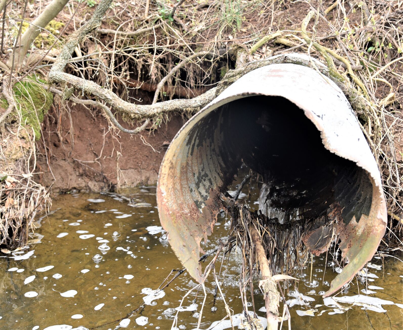 $6 million project will revive 1,600 acres of Pennsylvania wetlands ...