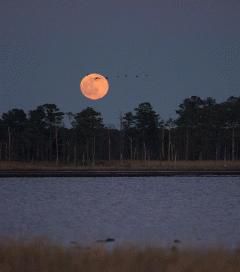 Many moons ago, these were months | Chesapeake Challenge | bayjournal.com