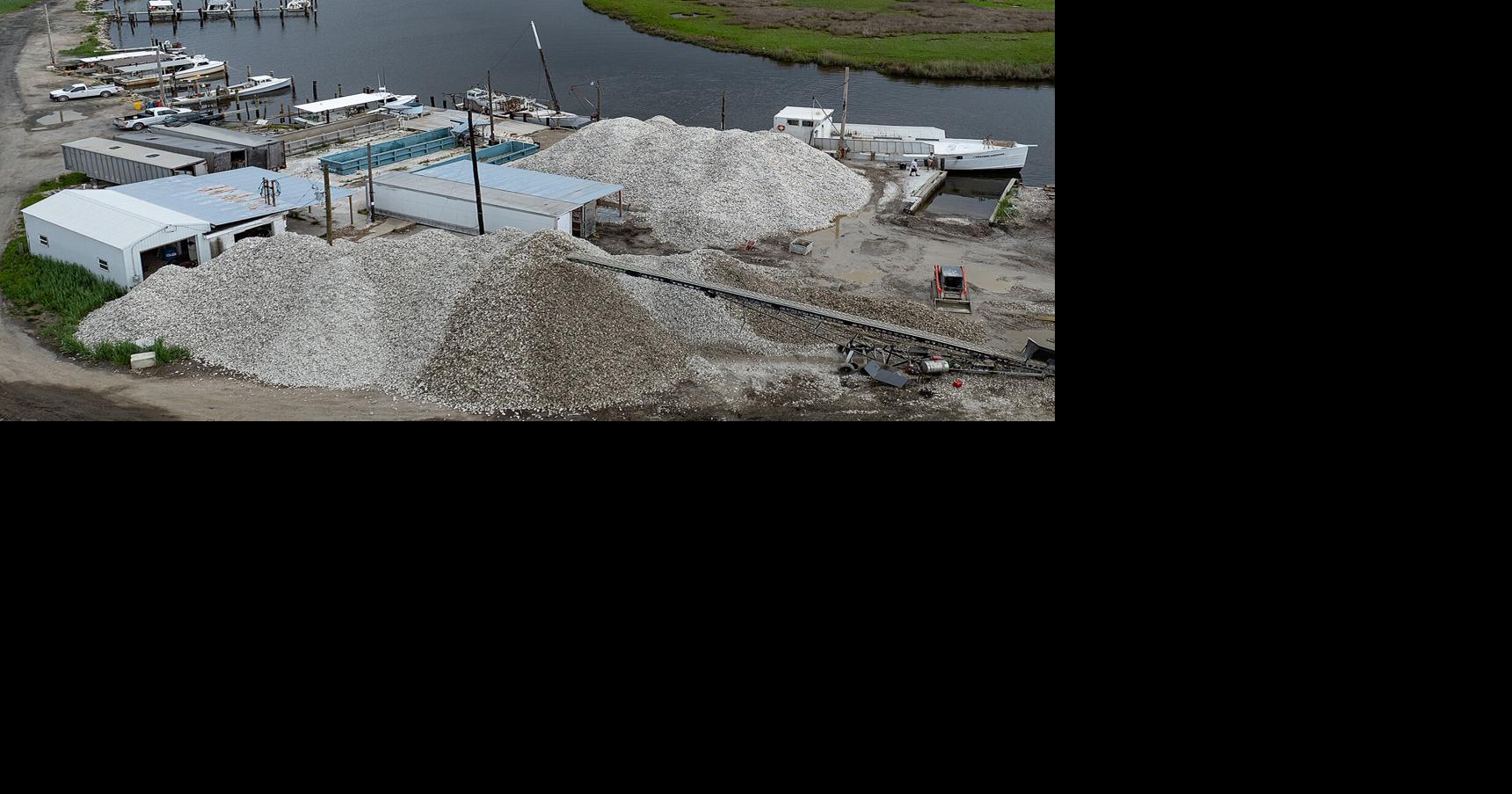 Bay’s oyster shell shortage gets relief from the West Coast | Fisheries ...