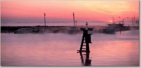 Bay Program unveils draft criteria for clean Bay | Pollution ...