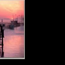 Bay Program unveils draft criteria for clean Bay | Pollution ...