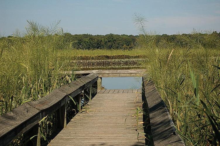 Seeds of September | Travel | bayjournal.com
