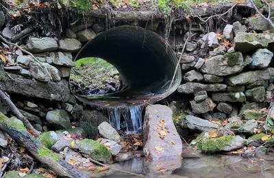 Stream crossings in Pennsylvania gamelands will get upgrade | Fisheries ...