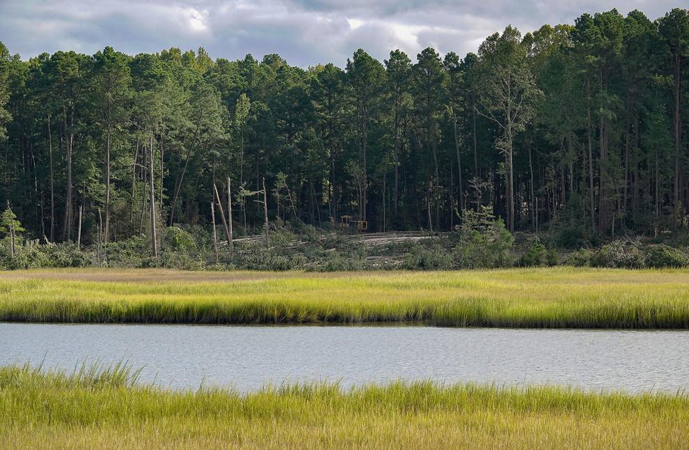 Neighbors deplore clearcut at VA’s Camp Peary | Growth & Conservation ...