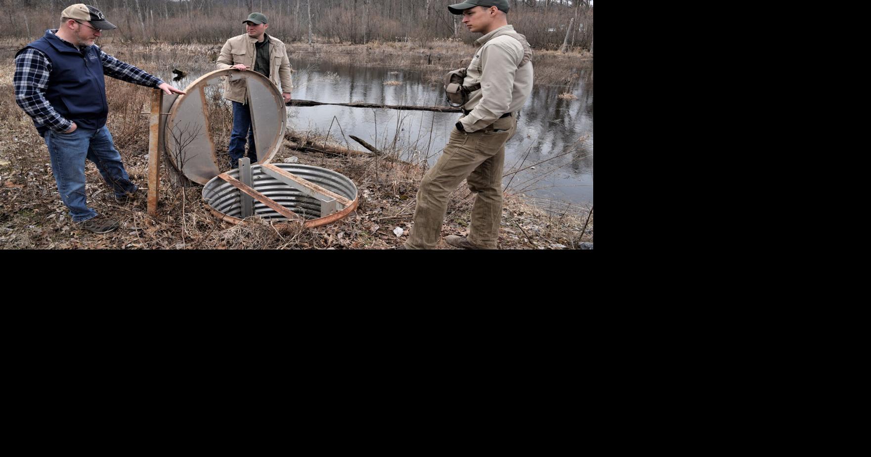 $6 million project will revive 1,600 acres of Pennsylvania wetlands ...