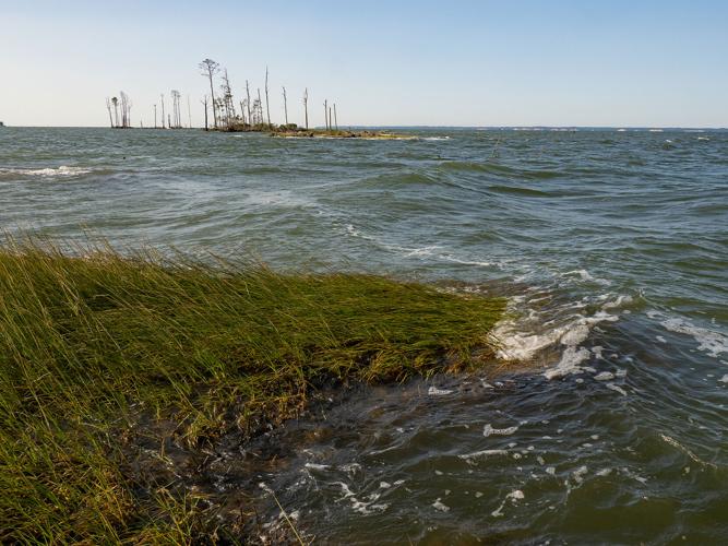 A photographic farewell to James Island | Climate Change | bayjournal.com