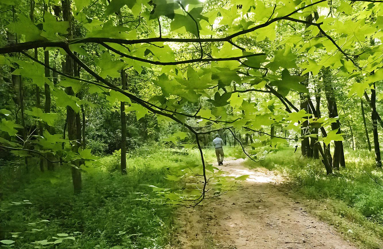 Escape the crowds, access the water at two new parks on Maryland’s ...